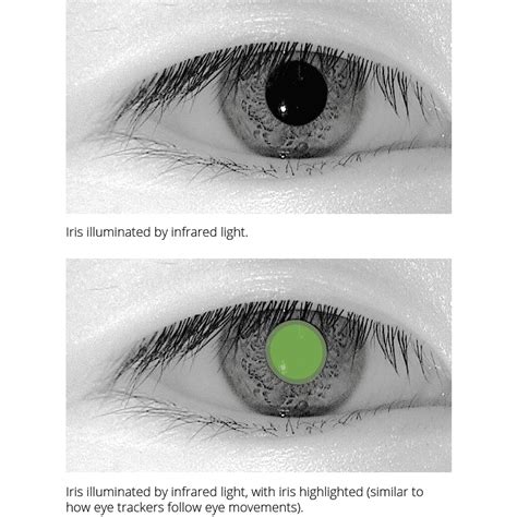 Webcam Eye Tracking Vs An Eye Tracker [pros And Cons] Imotions