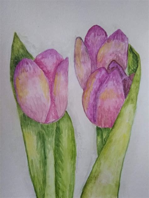 Как нарисовать тюльпан пошагово своими руками учимся рисовать цветы легко карандашом и красками