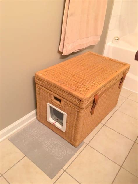 How To Hide Cat Litter Box In Small Apartment Cat Lovster