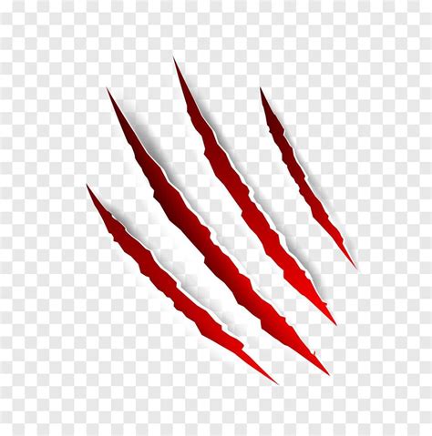 Page 16 Lion Claw Vector Art Icons And Graphics For Free Download