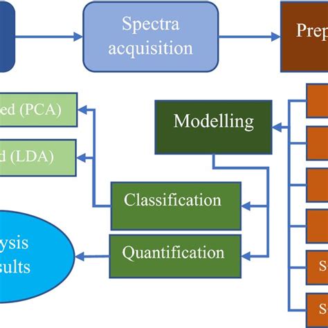 Flowchart Of Intramuscular Fat Adulteration Detection System In Lamb Download Scientific