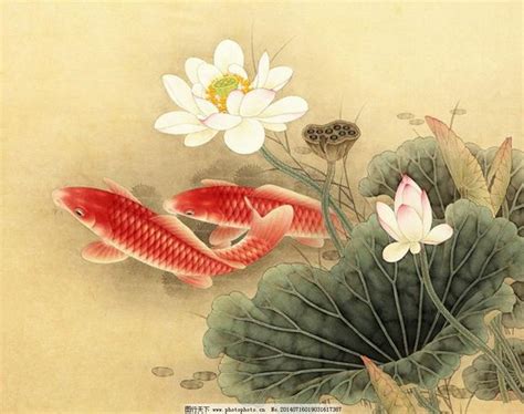 工筆畫魚 每日頭條