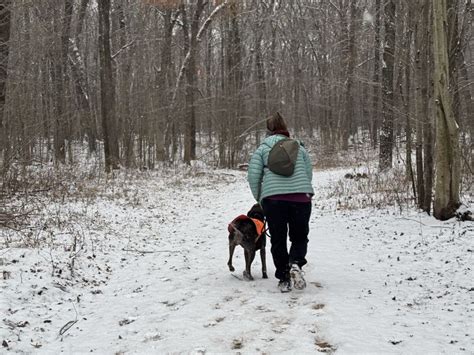 6 Winter Hikes In Chippewa County Go Chippewa County Wisconsin
