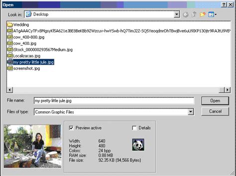 custom open file dialog vbcity the developer community