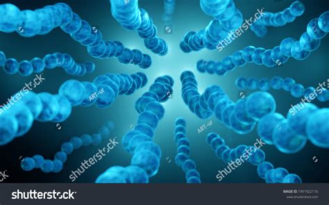 폐렴 스트렙토코커스 폐렴에 박테리아가 호흡기 감염을 스톡 일러스트 1991922116 Shutterstock