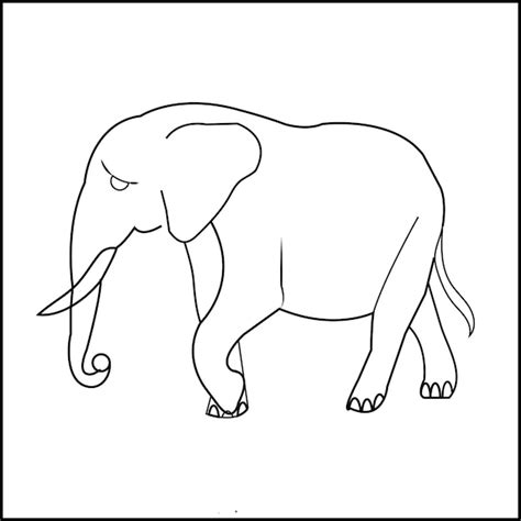 아이들을 위한 귀여운 코끼리 색칠 페이지 프리미엄 벡터