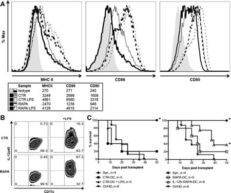 Autologous Il 12hi Rapa Dc Demonstrate Low Costimulatory Molecule Download Scientific Diagram