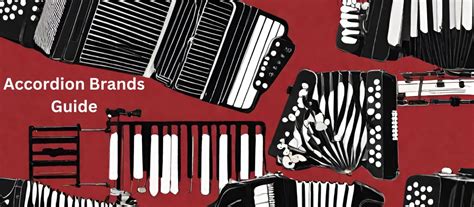 A Comprehensive Ranking Guide Of The Best Accordion Brands Accordion
