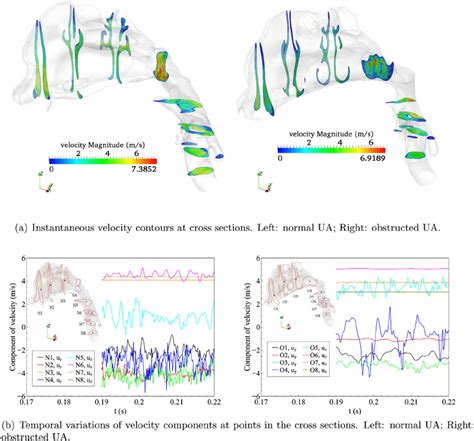 Instantaneous Velocity Contours And Temporal Variations Of Velocity