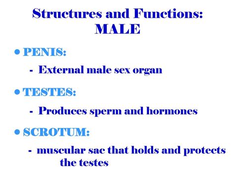 Human Sexuality Ppt Download