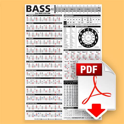 The Essential Bass Theory Reference Poster 12 Page Downloadable Pdf