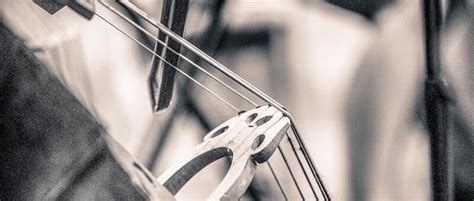 Performance Samples Releases Low String Fx Free Sample Library