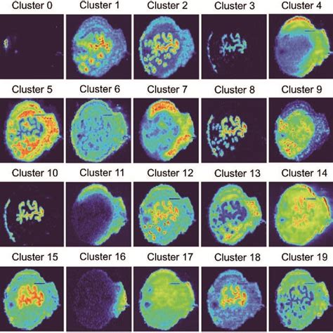 20 average ion images obtained from self supervised clustering results