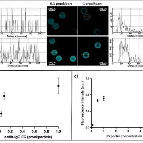 Sandwich Assay Optimization A Clsm Images And Fluorescence Profiles