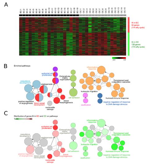 Biological Role Of The Differently Expressed Genes Between The Pre And