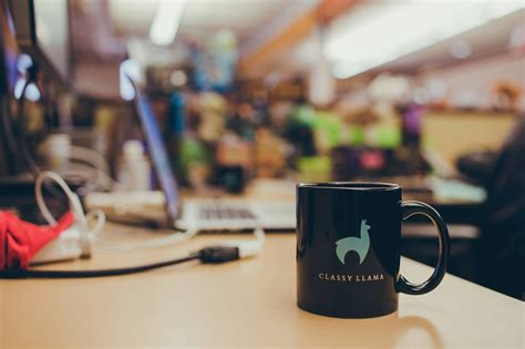 Classy Llama Linkedin