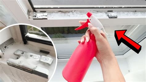 Easy No Scrub Window Cleaning Hack Diy Joy