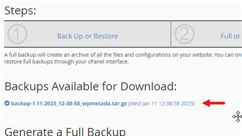 Export A DNS Zone File From CPanel