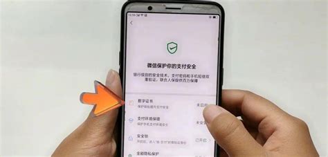 白天护绿夜晚栽花 三伏天他们是城市的护绿使者 新闻中心 温州网