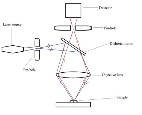 Widefield Epifluorescence Microscopy Techniques Vs Confocal