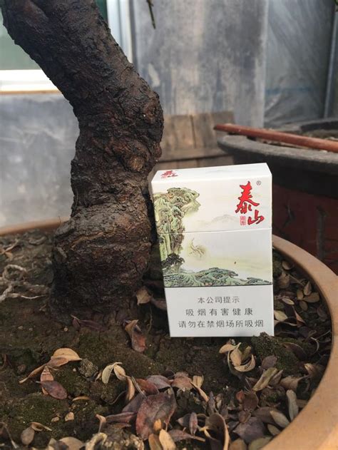老辣的迎春 每日頭條
