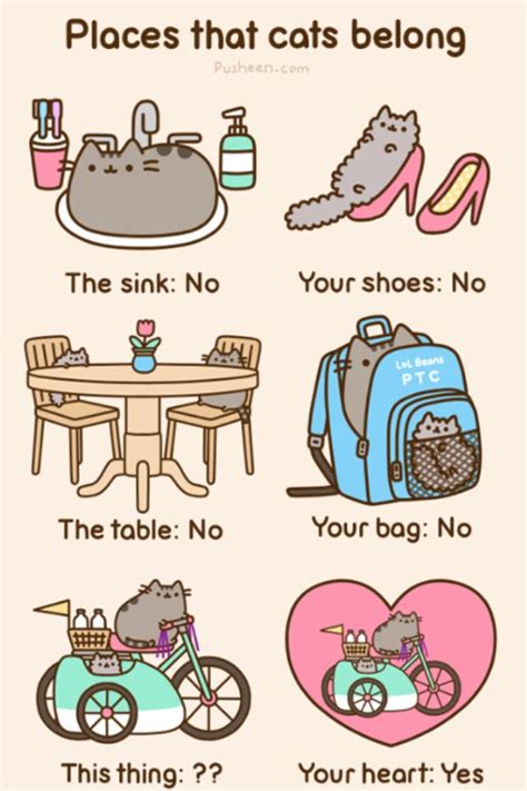I Love Him Pusheen Pusheen Cute Pusheen Cat