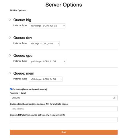 Jupyterhub Access BioAnalyze HPC