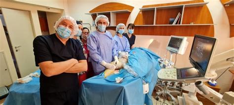 УСПЕШНО ЛЕКУВАЊЕ НА „БОЛНИТЕ ВЕНИ“ СО РАДИОФРЕКВЕНТНАТА АБЛАЦИЈА Д р Нанчева за новата метода