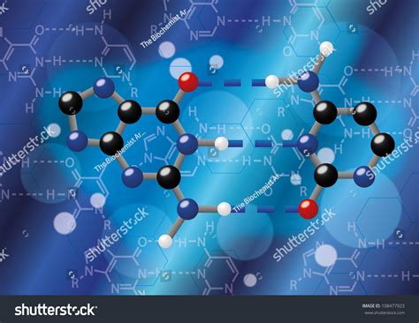 Dna Base Pair Guanine Cytosine Stock Illustration 108477923