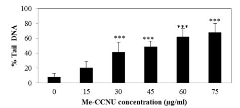 Dna Migration Caused By Different Concentrations Of Cenus As Determined Download Scientific