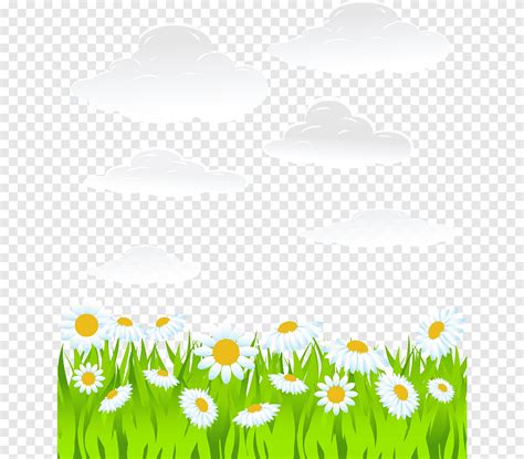 어도비 일러스트 레이터 꽃과 잔디 해바라기 컴퓨터 벽지 Png Pngegg