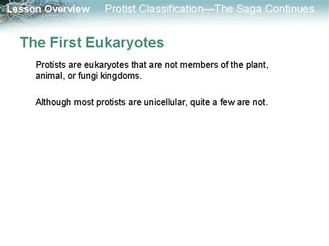 Lesson Overview Protist Classificationthe Saga Continues Lesson Overview