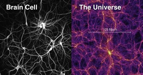 the universal cell theory [the unicell theory] by harsh maurya