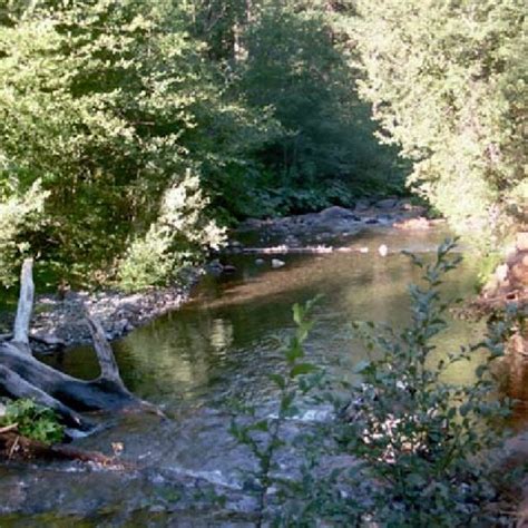 The Double Box Culvert On The Left Was A Complete Barrier For All Age Download Scientific