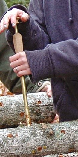 Mushrooming Together