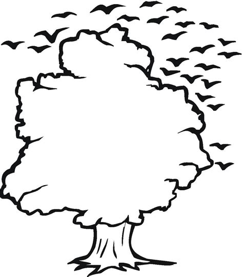 Tree Outline Clip Art ClipArt Best