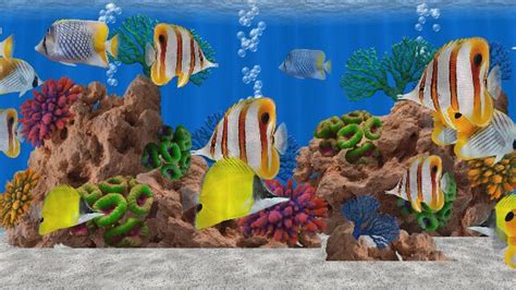 Free 3d Marine Aquarium Screensaver Ultraresource