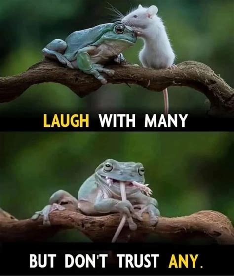 Success Network Connection Leadership Business Relationships Personalgrowth Dr Evette