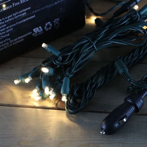 12 Volt LED Light Set Warm White On Green Wire