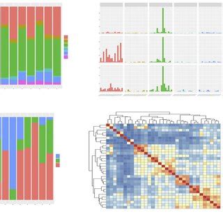 Mutant Specificity Of Somatic Snvs In All The Samples A A Heatmap Of
