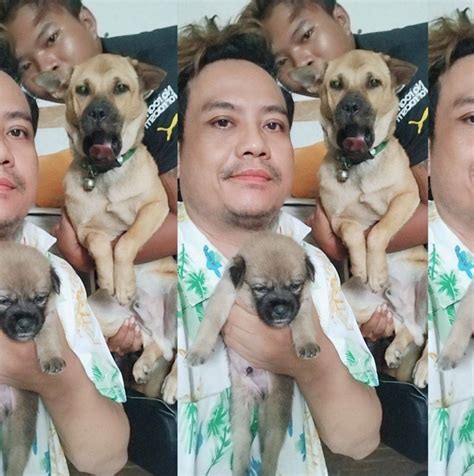 ថ្នាំចៃសត្វអង្គែសុីក្លិនស្អុយដំបៅជ្រុះរោម