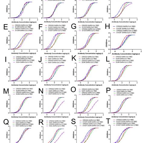 The Binding Affinity Kd Association Rate Ka And Dissociation Rate Download Scientific