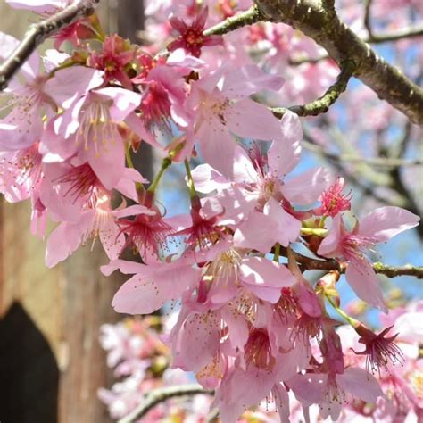 Kuen Yan Kuenyan1 • Threads Say More