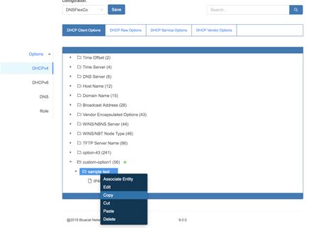 Dns Automation Managing Dns Options And Roles Bluecat Networks
