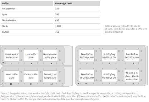Automatische Plasmide Dna Isolatie Uit Bacteriën