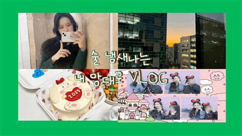 Vlog 술만 마시는 브이로그 ㅣ 신년회 ㅣ 집들이 ㅣ 사무실 이사 ㅣ 생일파티 스케줄 합정 ㅣ 먹방 술방 ㅣ인생네컷