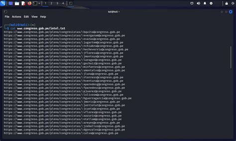 Capturar Direcciones De Correo Electrónico Utilizando Photon Alonso Caballero Reydes