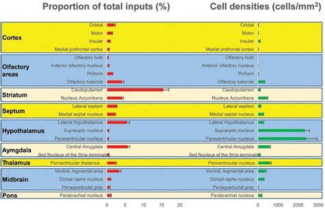 Statistical Analysis Of The Monosynaptic Inputs Left Proportion Of Download Scientific