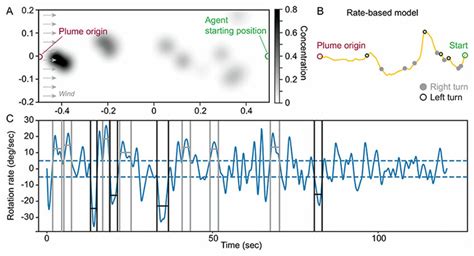 Overview Over The Odor Plume Experiment A The Pheromone Plume Is