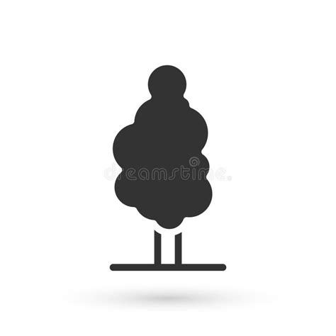 Grey Tree Icon Isolated On White Background Forest Symbol Stock Vector Illustration Of